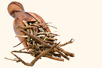 Bupleurum guide to functions and use precautions - OkayHerb